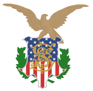 History – Sokol USA
